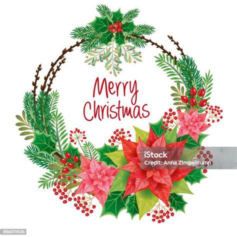 붉은 포 인 세 티아와 잎의 크리스마스 화 환입니다 벡터 일러스트 레이 션 0명에 대한 스톡 벡터 아트 및 기타 이미지 0명 갈란드 장식품 겨울 Istock