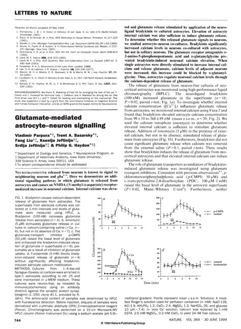 Pdf Glutamate Mediated Astrocyte Neuron Signalling