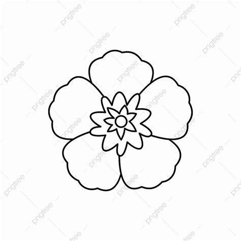 How To Draw A Rose Of Sharon