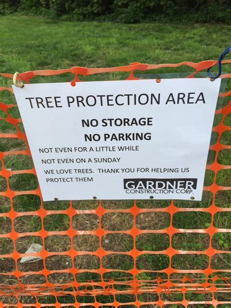 Common Sense Tree Preservation Urban Forest Dweller