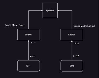 Configure Configuration Zone Feature In ACI Cisco