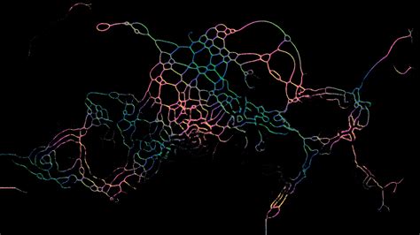 Slime Mold Simulationをpcでダウンロード Ldplayer