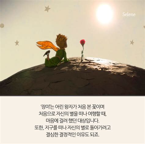 어린 왕자와 장미 관계의 소중함에 대하여
