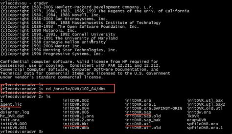 Steps To Configure Sap Oracle Database Backup Using Tsm For Erp Tdp