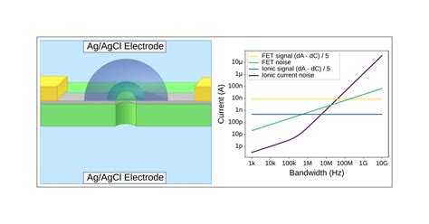 Signal And Noise In Fet Nanopore Devices Acs Sensors