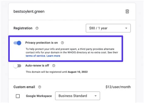 an introduction to domain privacy and how to implement it