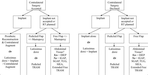 The Reconstructive Algorithm For Small Breast Immediate Reconstruction