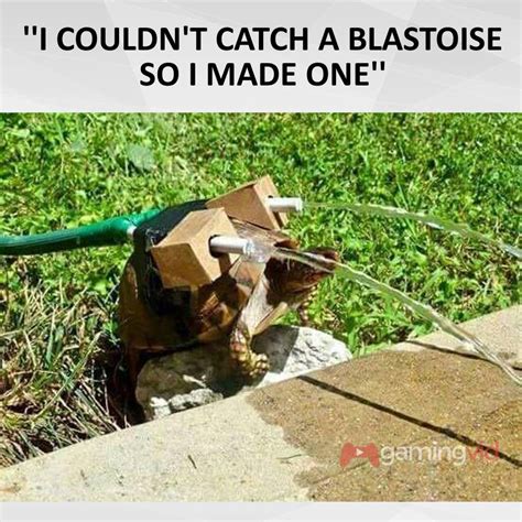 Custom Blastoise Imgur