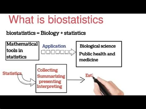 Understanding Biostatistics Statistics Variables And Scales Of Measurement Explained YouTube