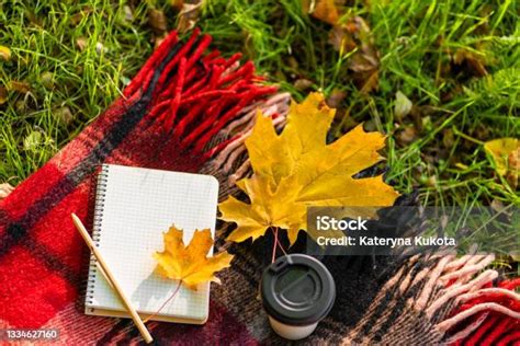 가을 공원에서 따뜻한 담요와 커피 한 잔을 마시며 여유를 제공합니다 가을 분위기와 마음의 상태 10월에 대한 스톡 사진 및 기타 이미지 Istock