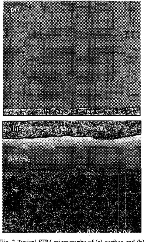 Figure 3 From A Novel Spl Beta Fesi Sub 2 Thin Film Solar Cell