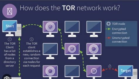 how to use tor to access dark web sites healthy time mag