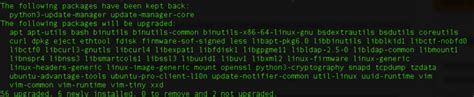 How To Upgrade From Ubuntu 22 04 LTS To Ubuntu 24 04 LTS