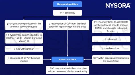 Hypoparathyroidism Nysora