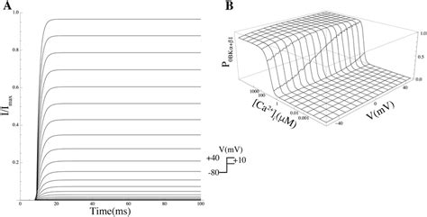 Properties Of Ibkαβ1 A Simulated Voltage Clamp Traces Of Bkαβ1