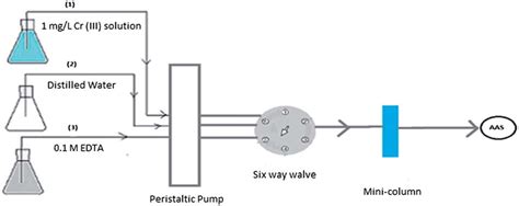 Scheme Of The Online Preconcentration Flow Injection System Download Scientific Diagram