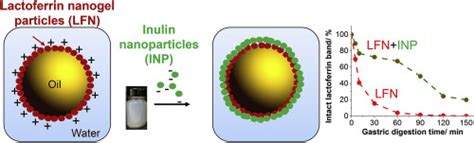 New Paper Published In Food Hydrocolloids Sarkar Lab