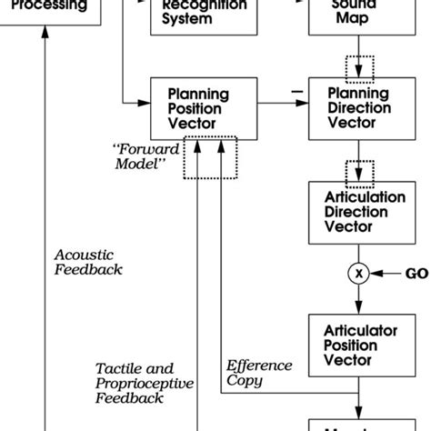 Pdf Connectionist Modeling Of Speech Perception