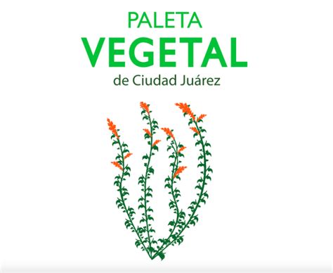 Publican Catálogo De Plantas Más Adecuadas Para Ciudad Juárez Noro Noro