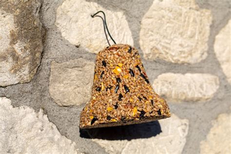 Bel Dari Berbagai Bijibijian Kelezatan Untuk Semua Burung Di Kebun Foto Stok Unduh Gambar