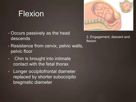 Normal Labor In Obstetrics Pptx