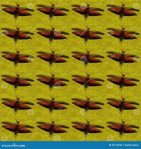 A Dragonfly With Patterns A Contour Gentle Pattern And A Background