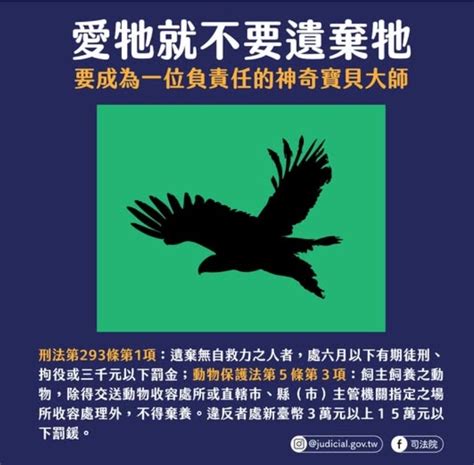 Imgur The Magic Of The Internet