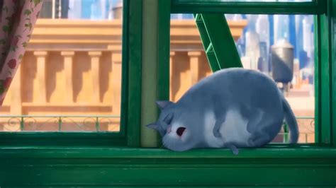The Secret Life Of Pets Gidget Best Memorable Funny Moments Coub