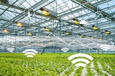What Is Narrowband Iot Iot Module Shop Manufacturer Factory