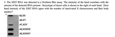 Solved How Would I Answer These Two Problems Please Help I Chegg Com
