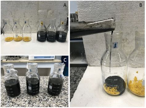 Preparation Of The Substrate Sludge Mixture For The Bmp Test