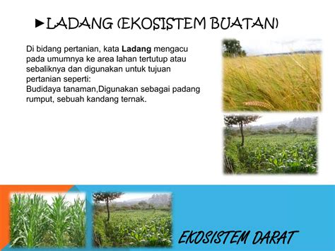 Ekosistem Darat Dan Air Ppt
