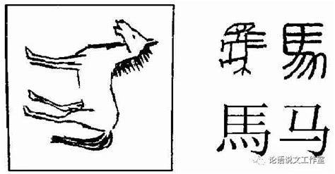 论语说文之八——神奇的象形字
