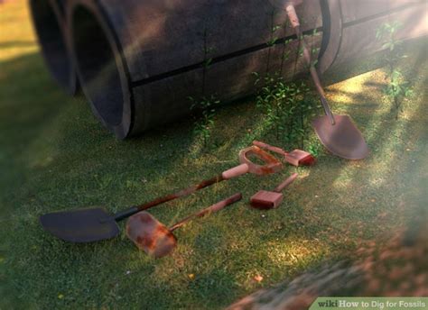 How To Dig For Fossils Steps With Pictures WikiHow