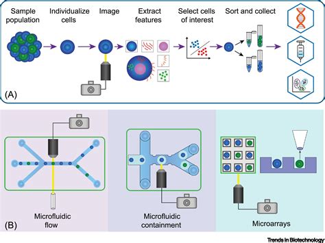 Cell Fixation And Preservation For Droplet Based Single Cell