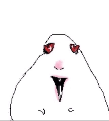 Hamster Meme  Hamster Meme Discover And Share S Hamster