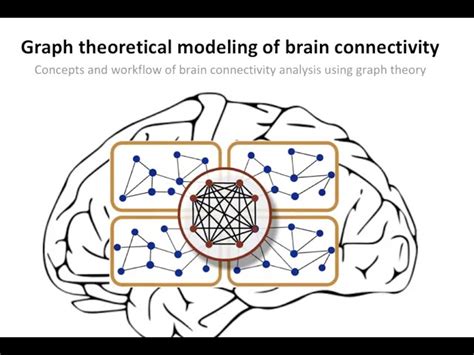 Brain Network Visualization