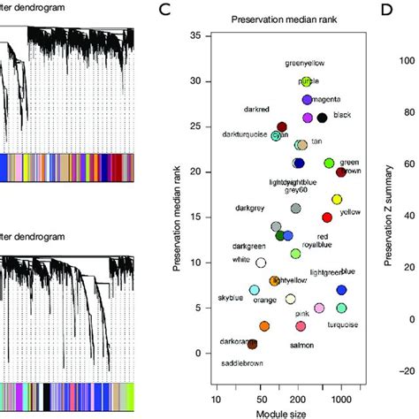 Wgcna Identified And Characterized Co Expression Modules Clustering