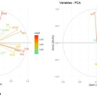 A Biplot PupE And B Biplot PutiE Using The Relative Values Of Download Scientific Diagram