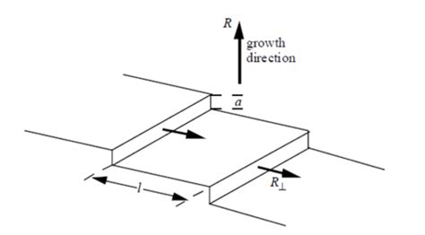 Growth Interface Control Flashcards Quizlet