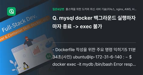 Mysql Docker 백그라운드 실행하자마자 종료 Exec 인프런 커뮤니티 질문and답변