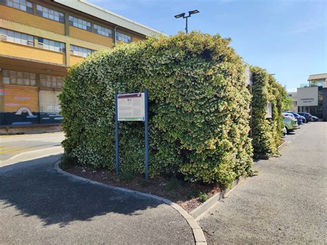 Bostjanbestjak Lasestrizec Like This Post If You Miss Your Hairstylist 💇🏼‍♂️💇‍♀️💇💆‍♀️🤷‍♂️🙆🏻