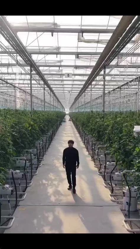 ‎شادمهر تجارت آتام‎ ‎چپ شدن ماشین حمل جوجه😓 واژگونی خودرو حمل جوجه