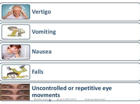 Cerebellar Dysfunction Ppt Pptx