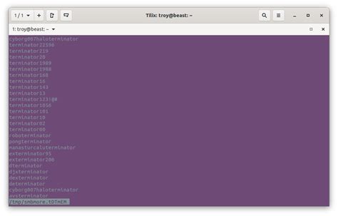 Ctf Writeup Skynet