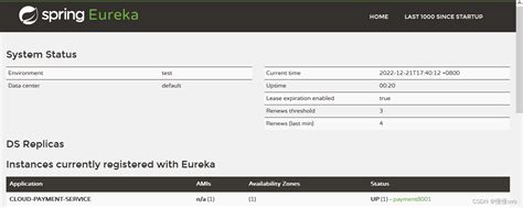 【springcloud eureka】gateway网关 eureka gateway csdn博客