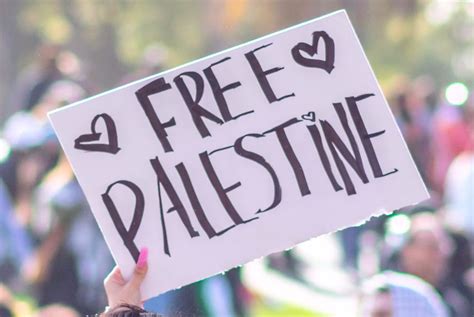 The Continuing Case Of Lara Sheehi By Barry Purcell Jun 2023 Medium