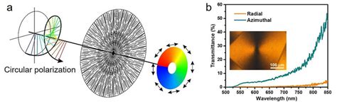 A Schematic Of The Spherulite And The Generation Of The Optical Download Scientific Diagram