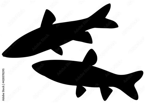 Grass Carp Fish In The Set Vector Image Stock Vector Adobe Stock