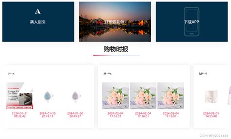 反向海淘系统中的数据安全挑战与解决方案探讨 csdn博客